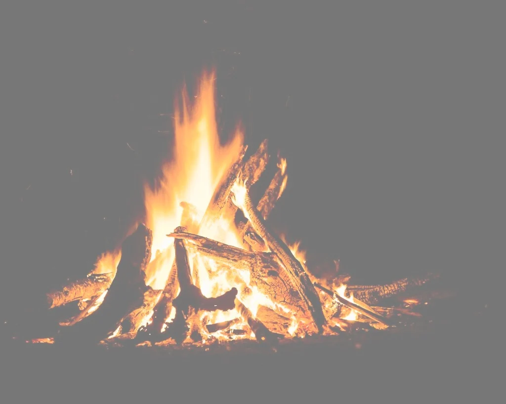 WHAT GENRES ARE HOT - AND WHAT ARE NOT? - Coverage, Ink